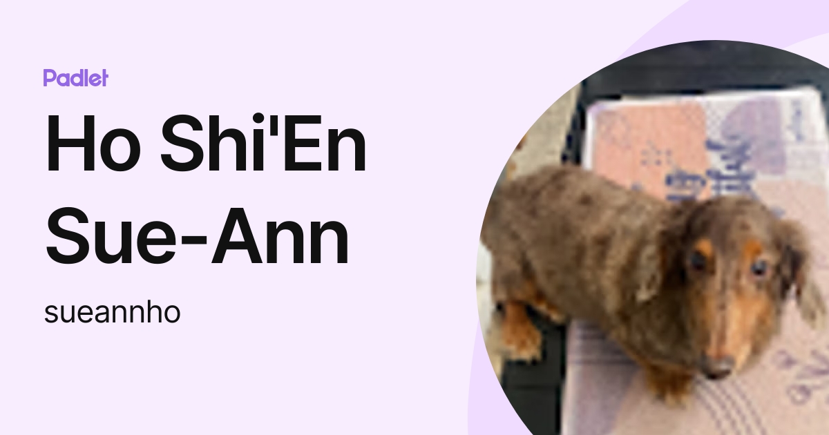 Ho Shi'En Sue-Ann (sueannho) profile | Padlet