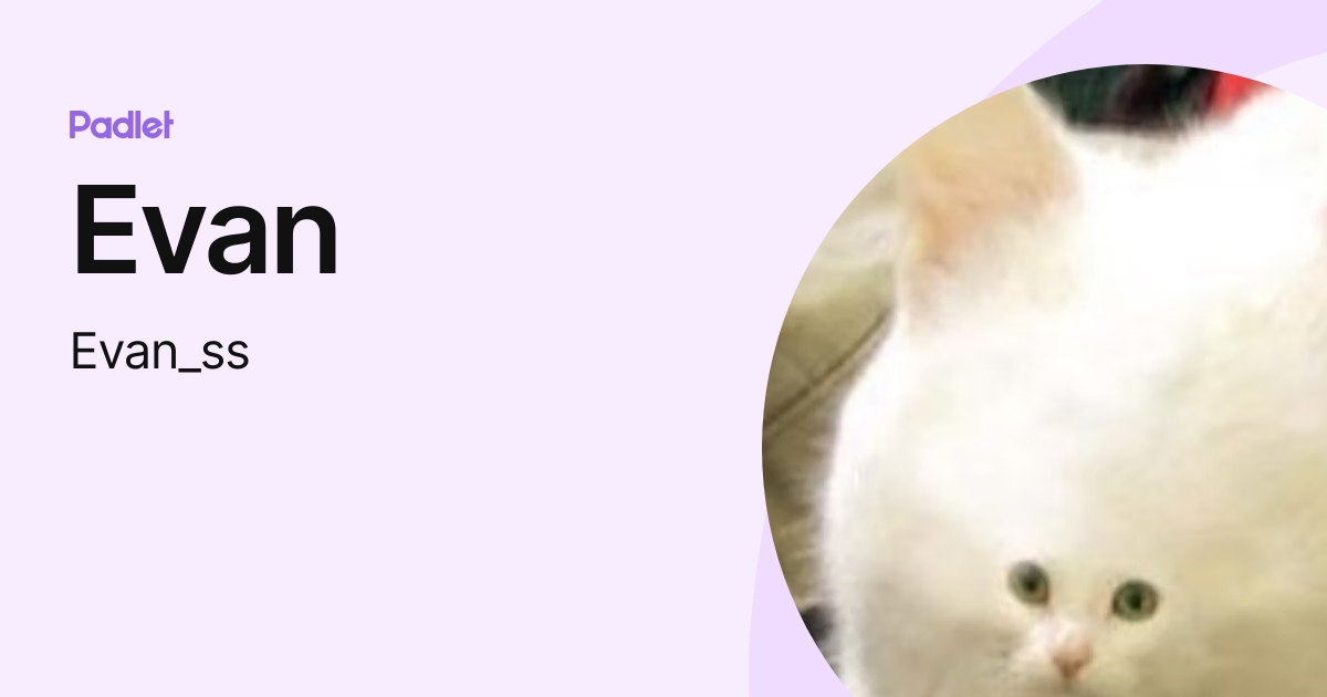 Evan (Evan_ss) profile | Padlet