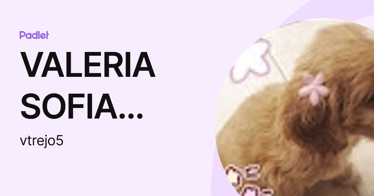 VALERIA SOFIA TREJO VELASQUEZ (vtrejo5) profile | Padlet