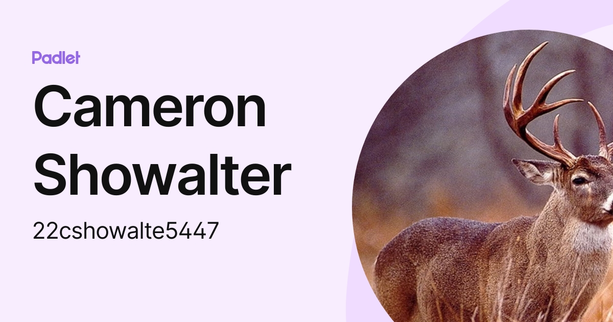 Cameron Showalter (22cshowalte5447) profile | Padlet