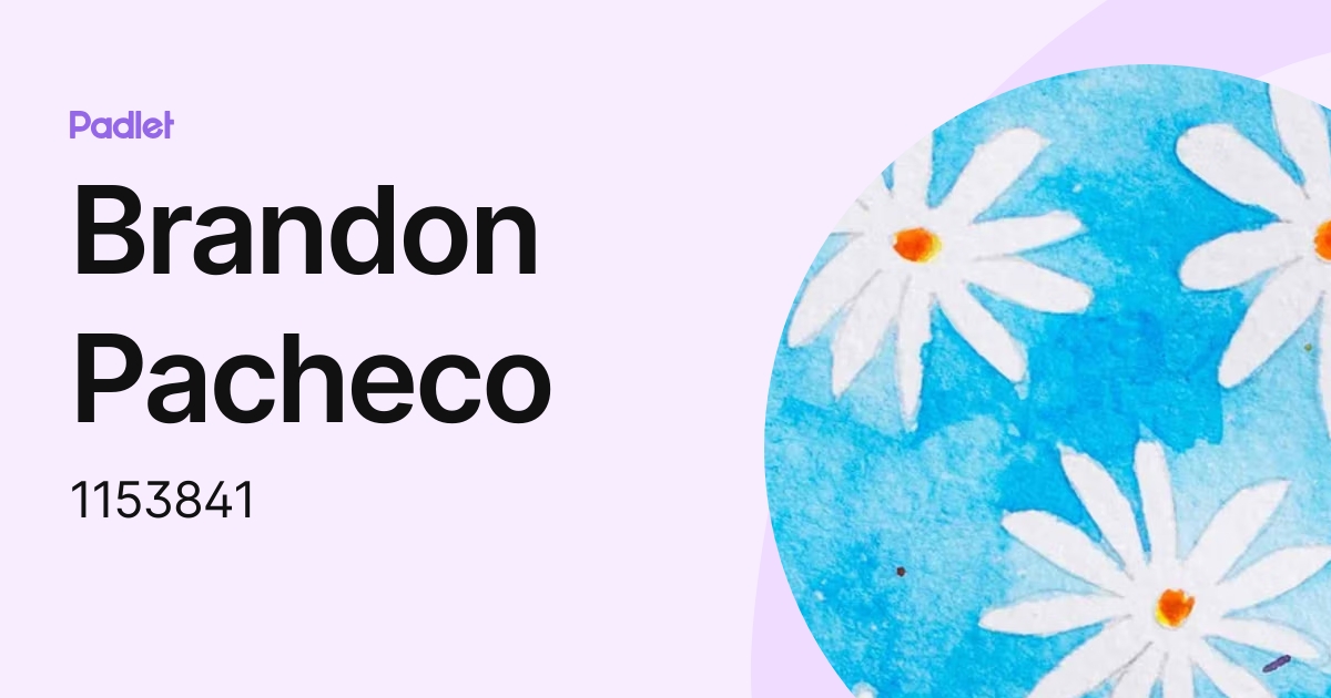 Brandon Pacheco (1153841) profile | Padlet