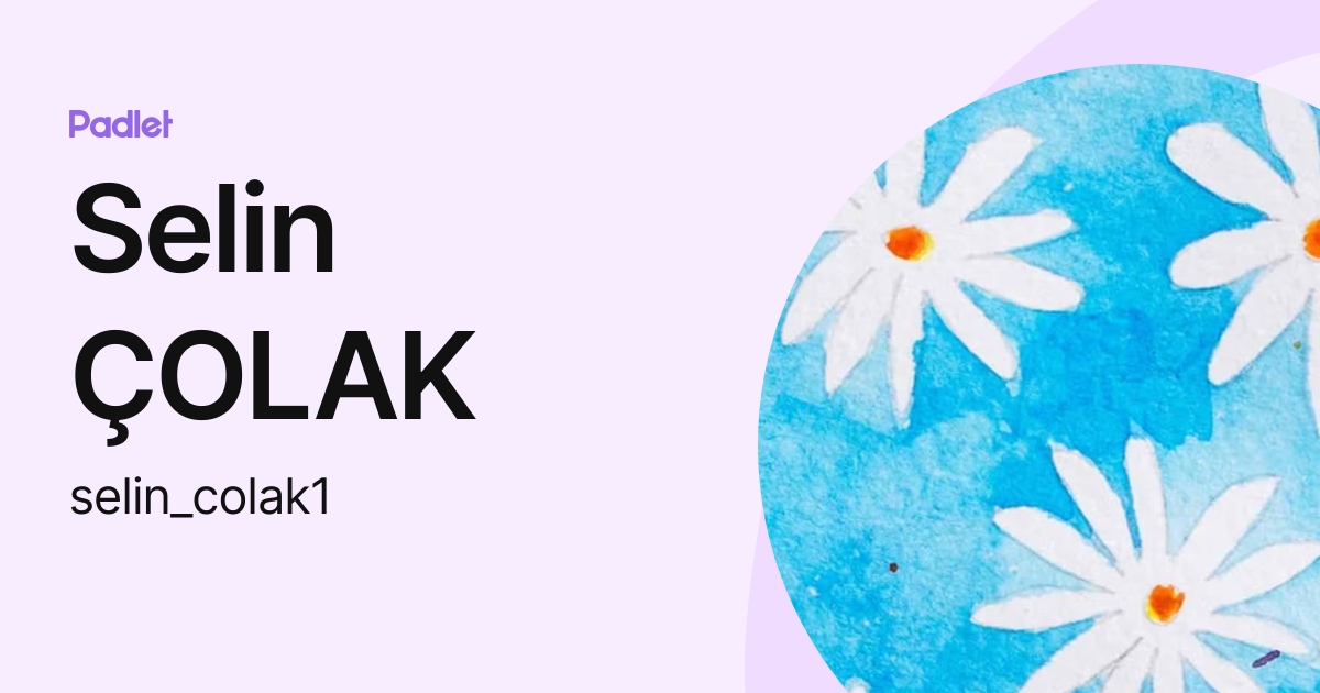 Selin ÇOLAK (selin_colak1) profile | Padlet