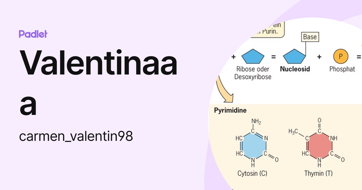 Valentinaaa (carmen_valentin98) profile | Padlet