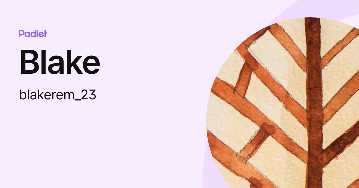 Blake (blakerem_23) profile | Padlet