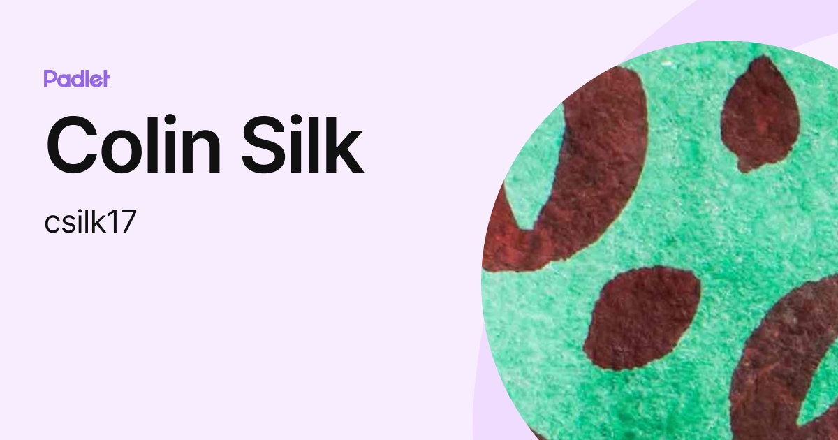 Colin Silk (csilk17) profile | Padlet