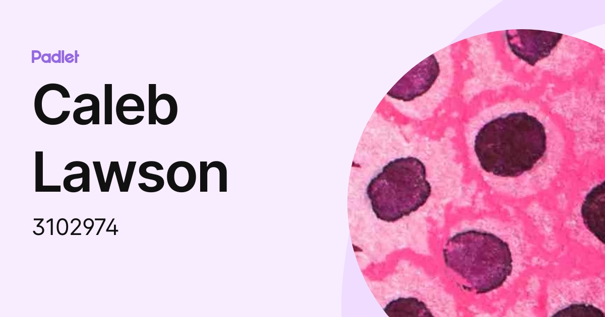 Caleb Lawson (3102974) profile | Padlet