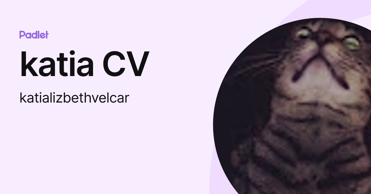 katia CV (katializbethvelcar) profile | Padlet