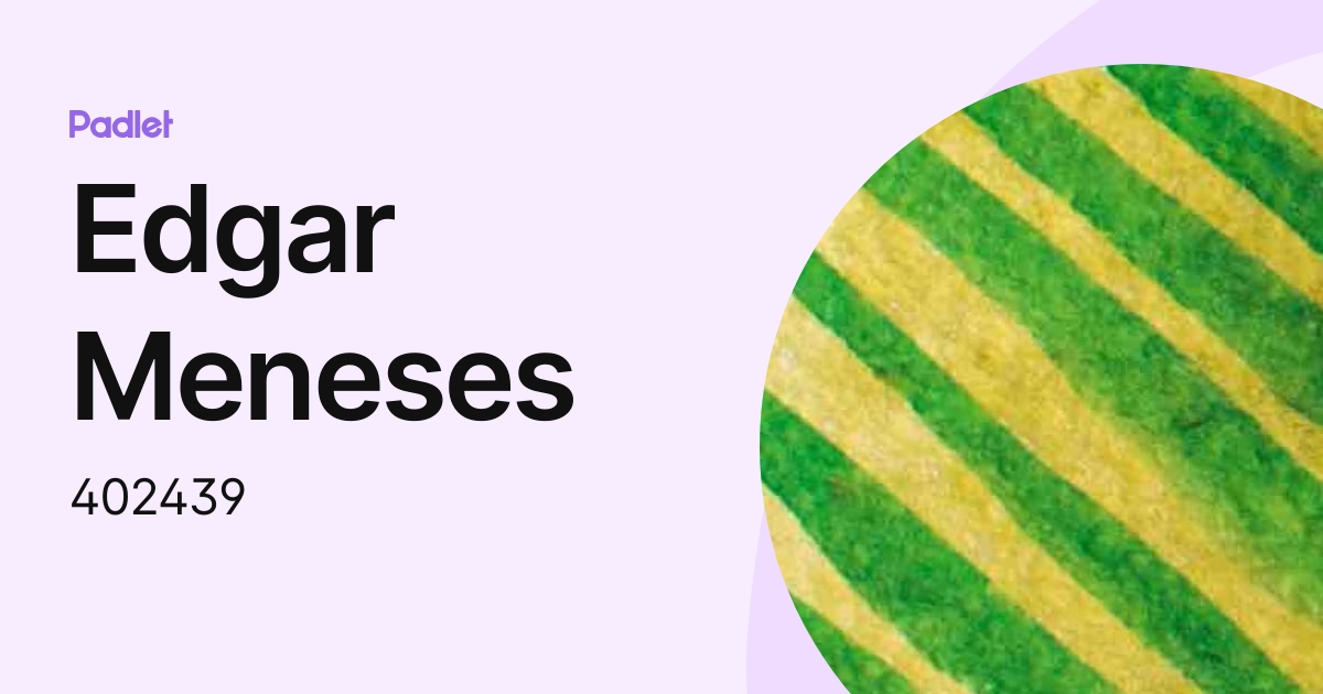 Edgar Meneses (402439) profile | Padlet