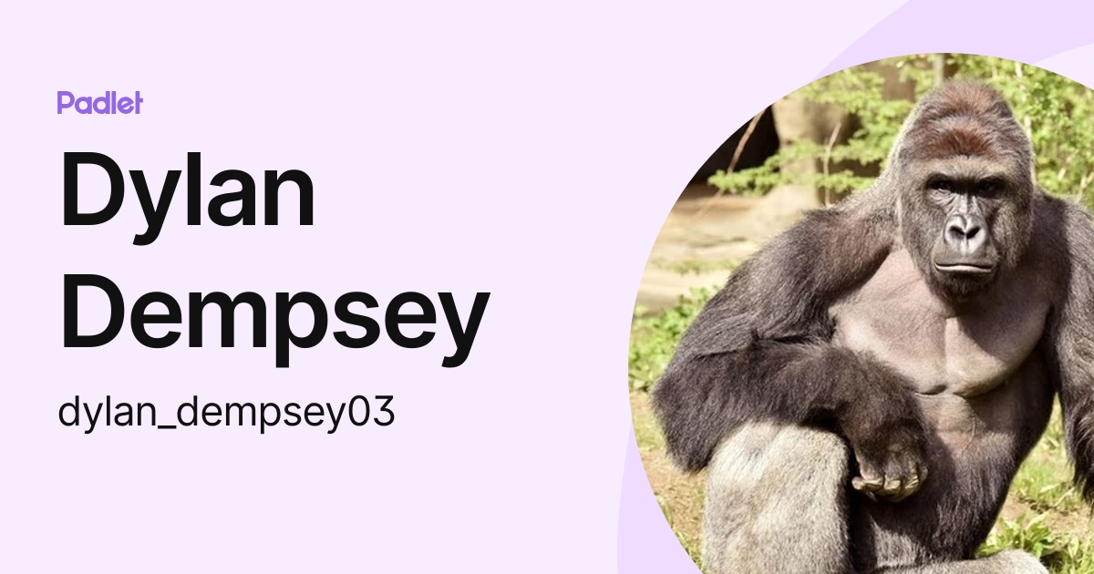 Dylan Dempsey (dylan_dempsey03) profile | Padlet