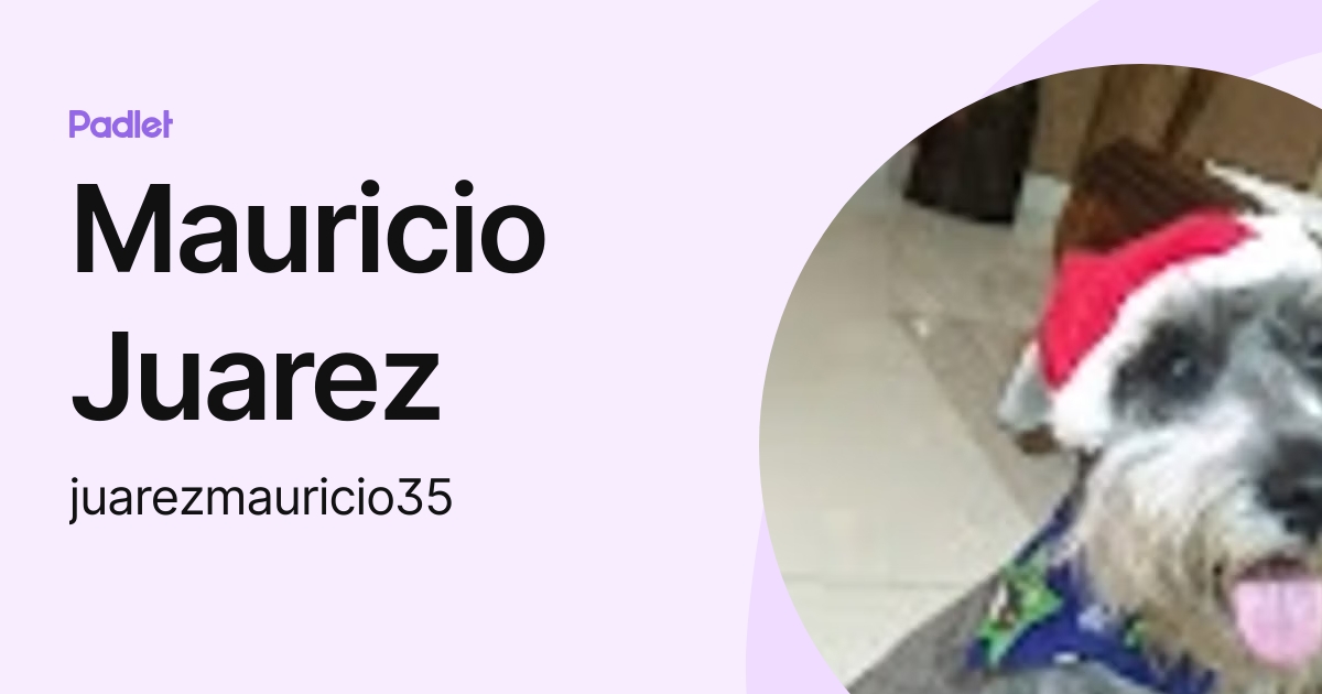 Mauricio Juarez (juarezmauricio35) profile | Padlet