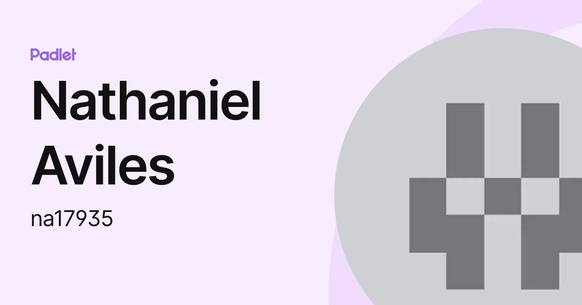 Nathaniel Aviles (na17935) profile | Padlet