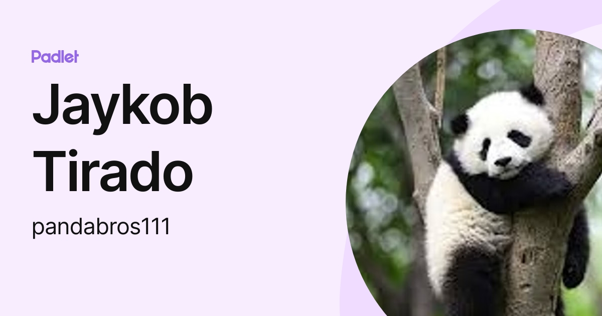 Jaykob Tirado (pandabros111) profile | Padlet