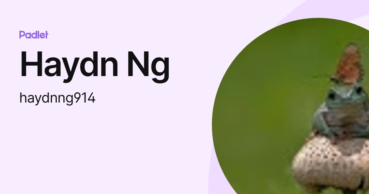 Haydn Ng (haydnng914) profile | Padlet