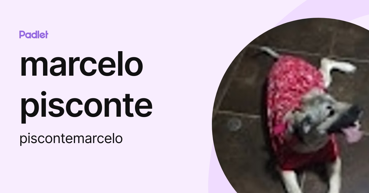 marcelo pisconte (piscontemarcelo) profile | Padlet