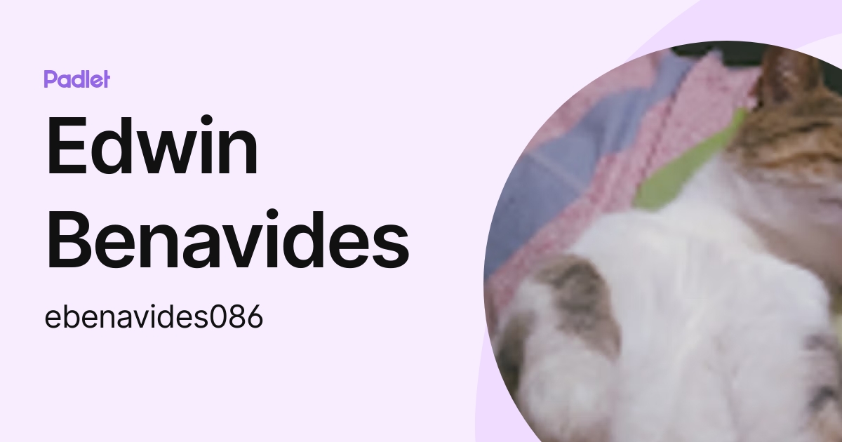 Edwin Benavides (ebenavides086) profile | Padlet