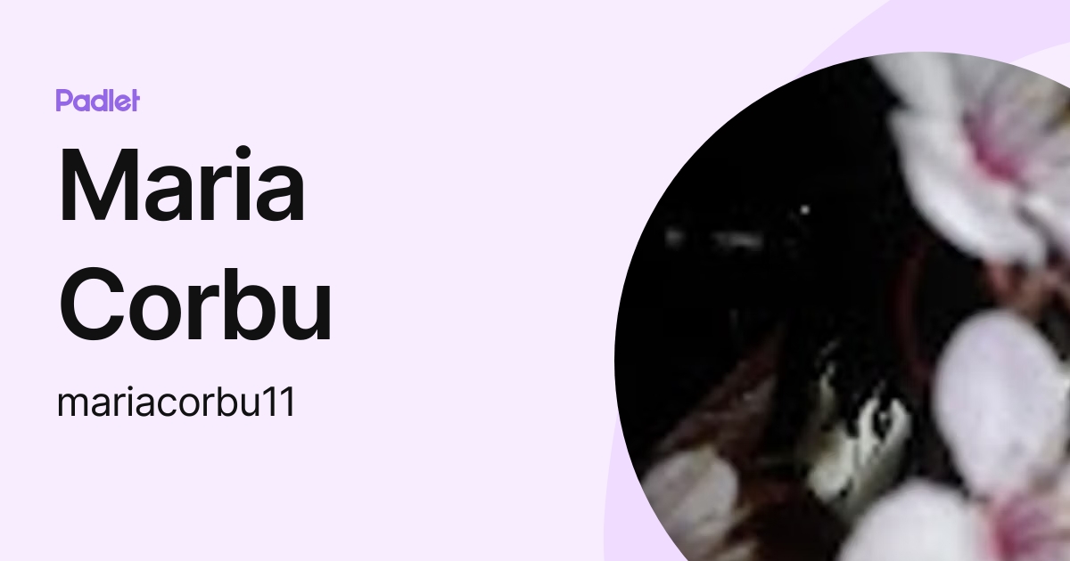 Maria Corbu (mariacorbu11) profile | Padlet