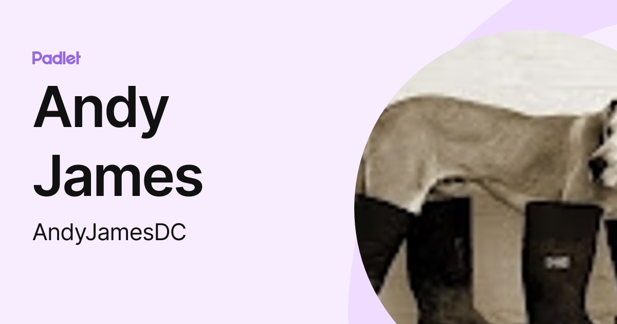 Andy James (AndyJamesDC) profile | Padlet