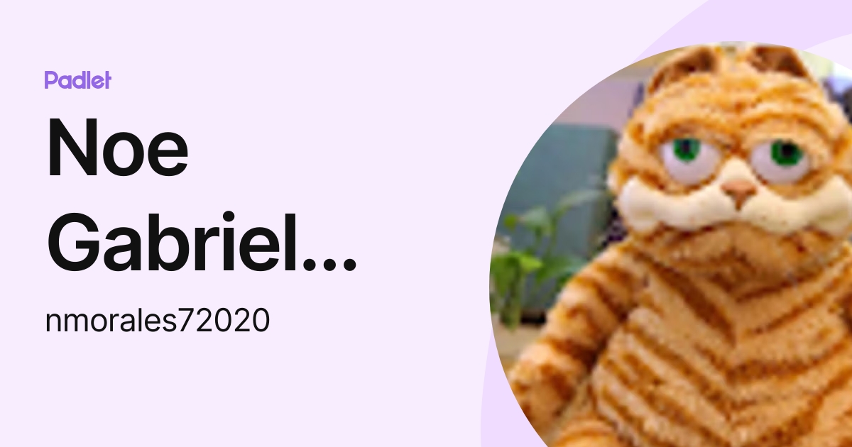 Noe Gabriel Morales Cruz (nmorales72020) profile | Padlet