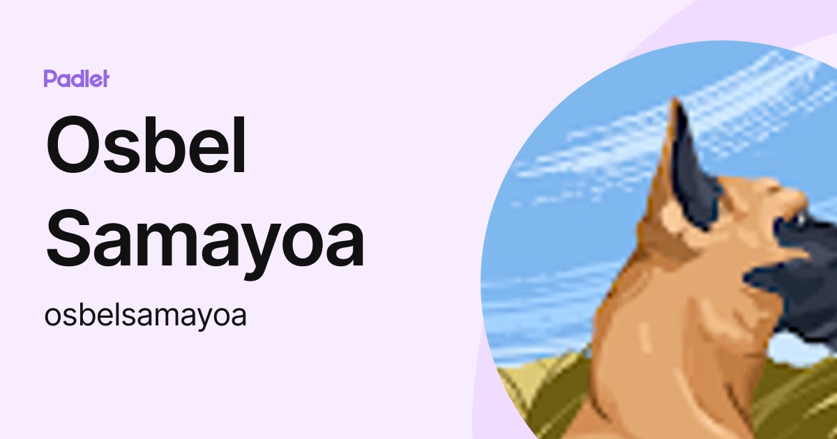 Osbel Samayoa (osbelsamayoa) profile | Padlet