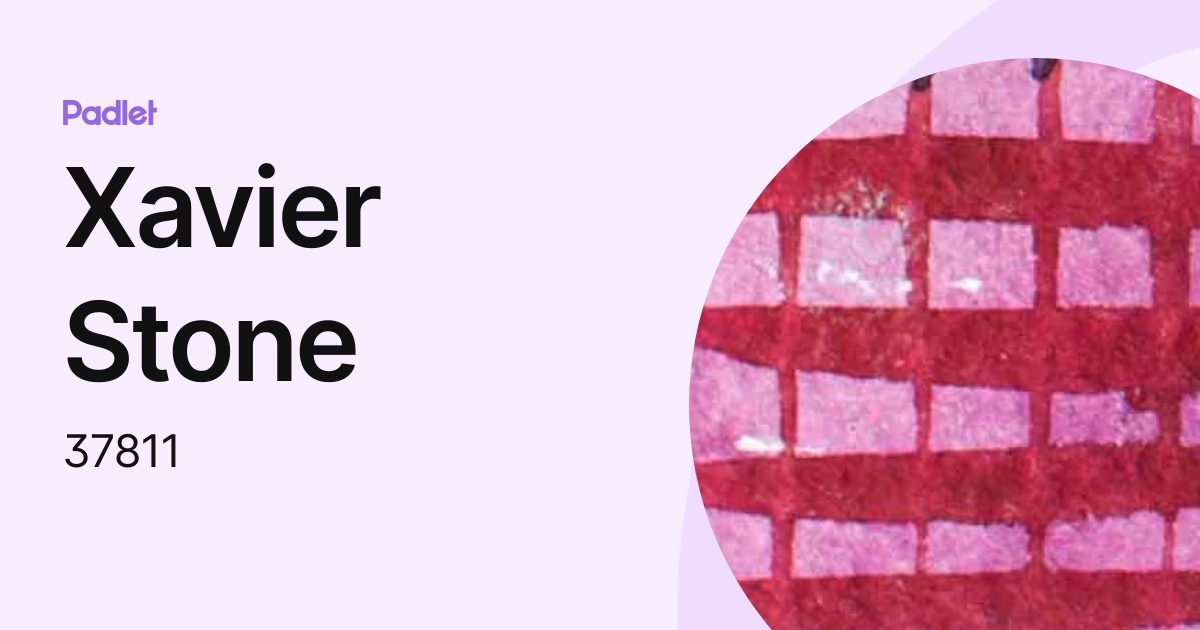 Xavier Stone (37811) profile | Padlet
