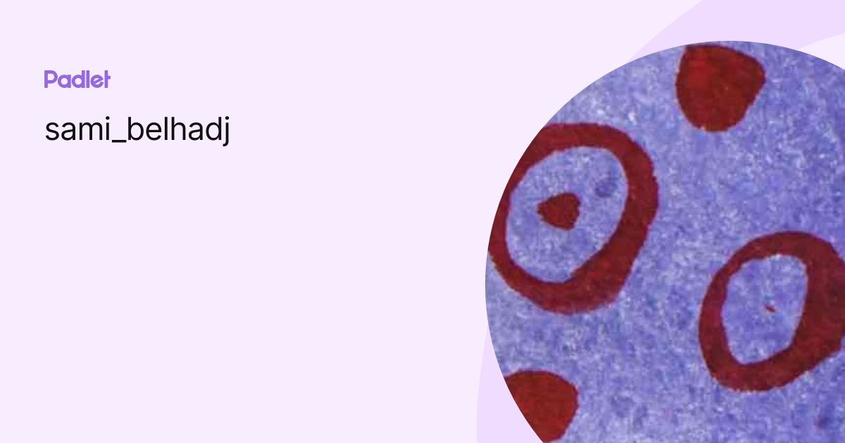 Sami Belhadj Profile Padlet