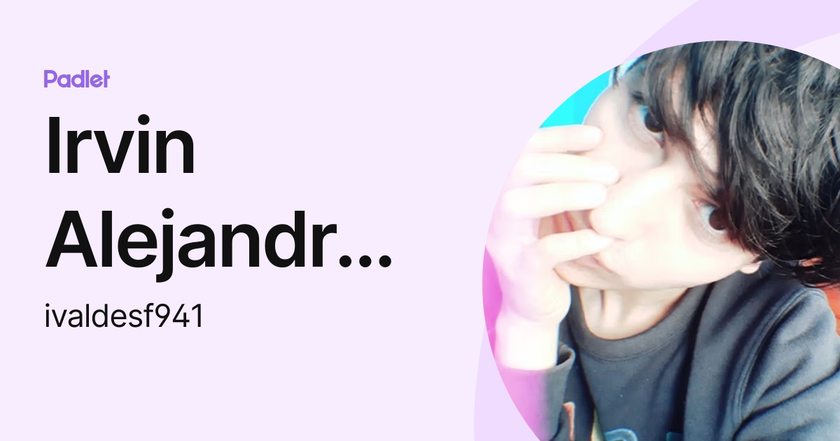 Irvin Alejandro Valdes Franco (ivaldesf941) profile | Padlet