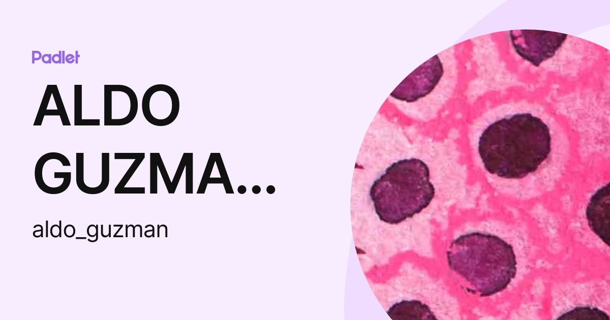 ALDO GUZMAN SALGADO (aldo_guzman) profile | Padlet