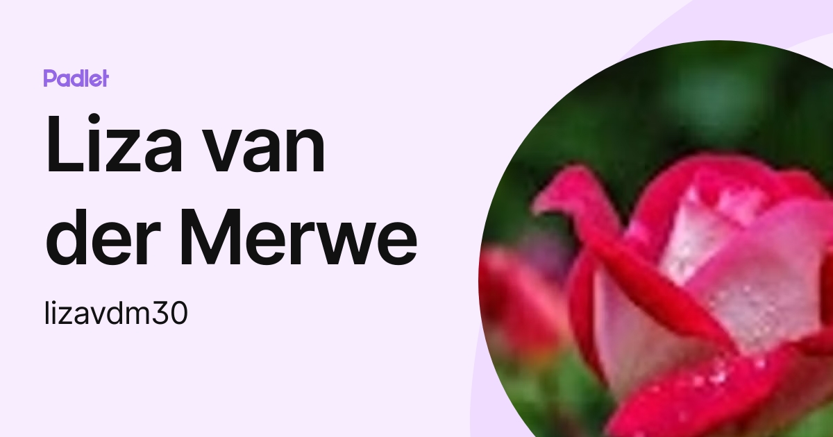 Liza van der Merwe (lizavdm30) profile | Padlet