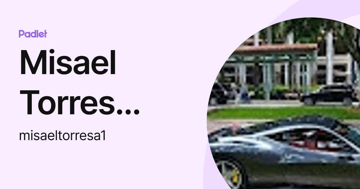 Misael Torres Alcantara (misaeltorresa1) profile | Padlet