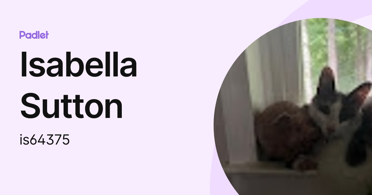 Isabella Sutton (is64375) profile | Padlet