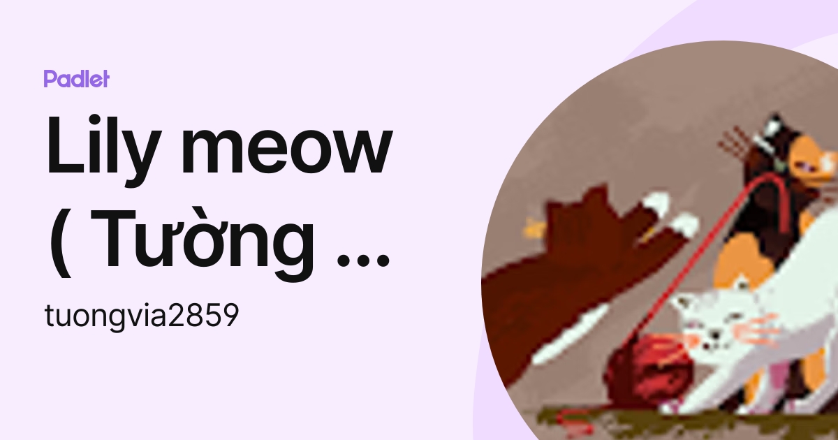 Lily meow ( Tường Vi ) (tuongvia2859) profile | Padlet
