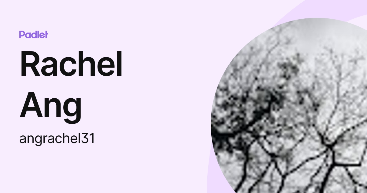 Rachel Ang (angrachel31) profile | Padlet