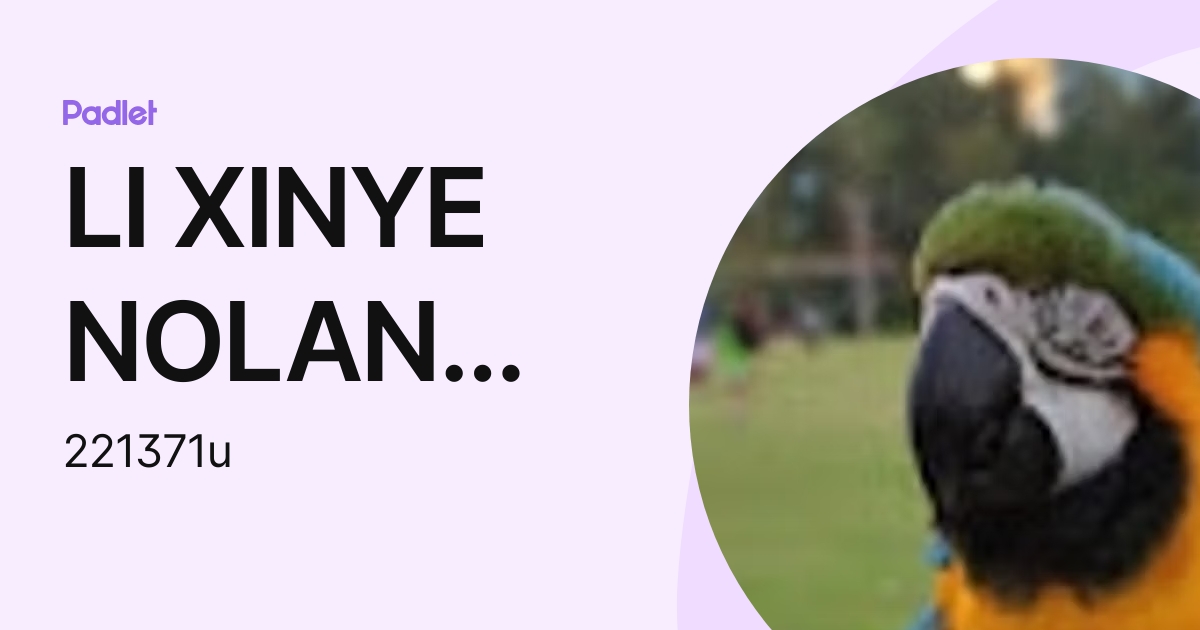 LI XINYE NOLAN HCI (221371u) profile | Padlet