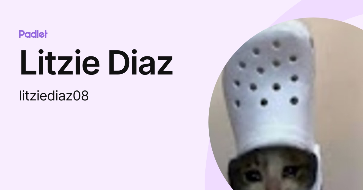 Litzie Diaz (litziediaz08) profile | Padlet