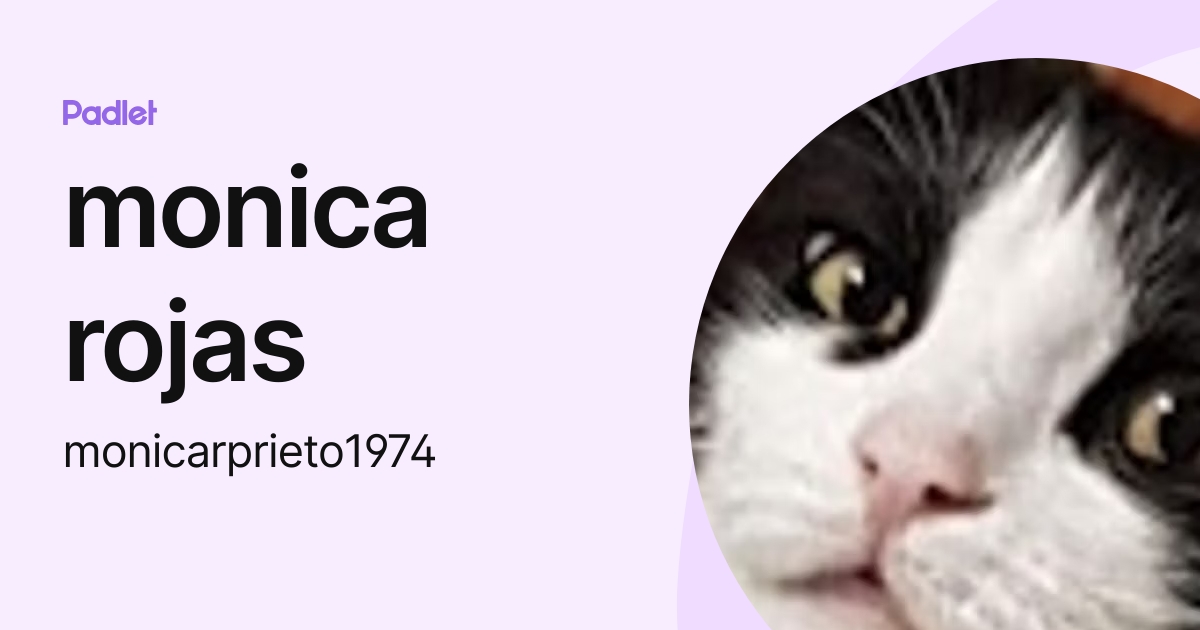 monica rojas (monicarprieto1974) profile | Padlet