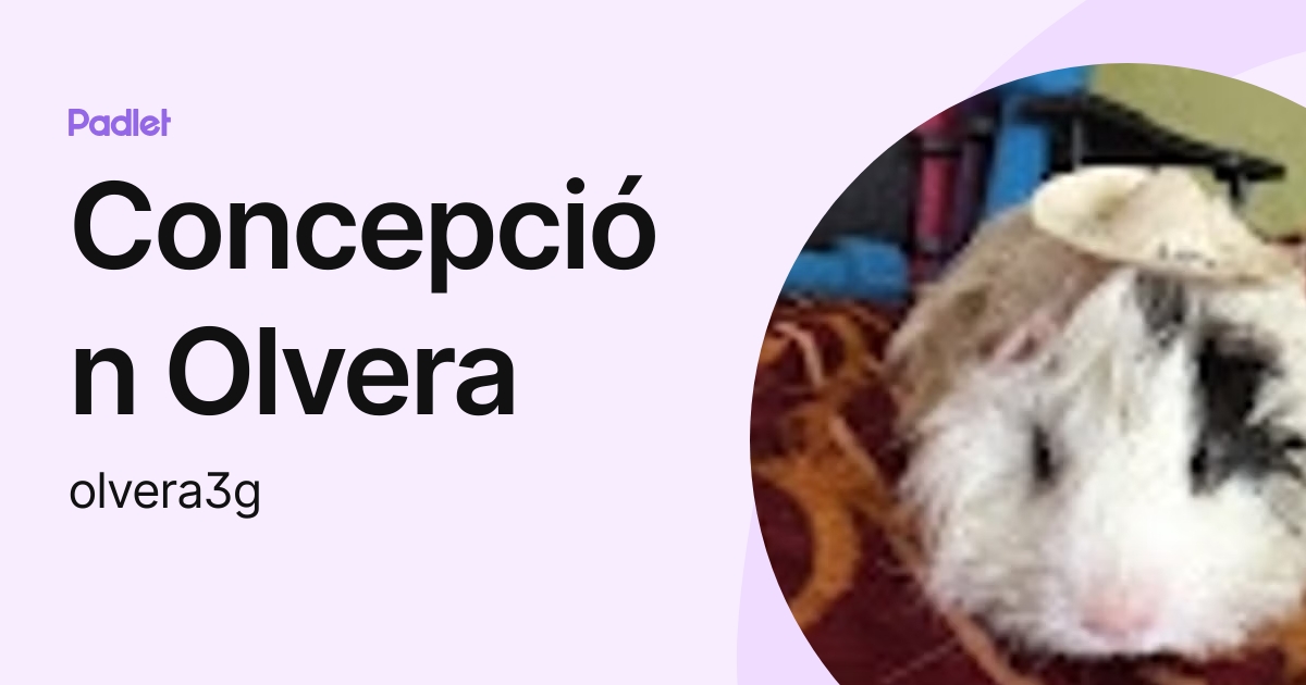 Concepción Olvera (olvera3g) profile | Padlet