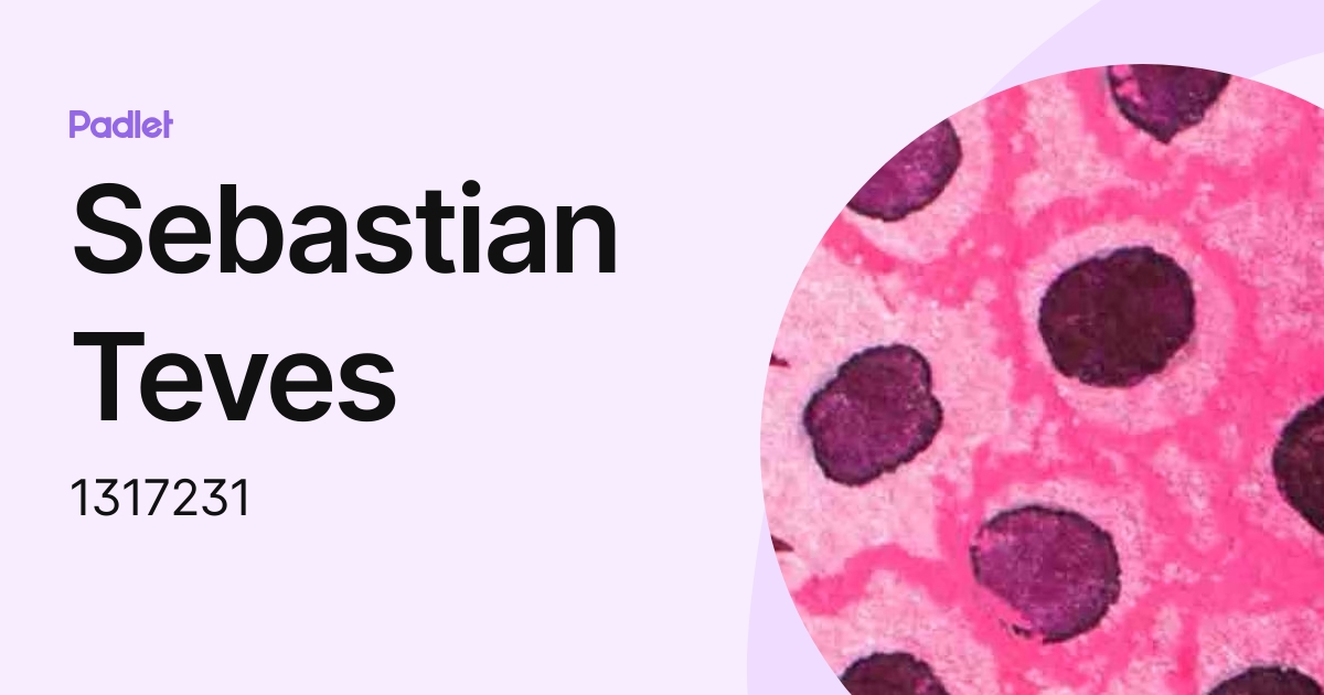 Sebastian Teves (1317231) profile | Padlet