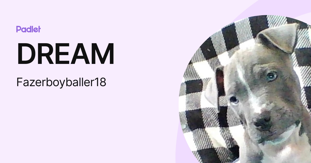 DREAM (Fazerboyballer18) profile | Padlet