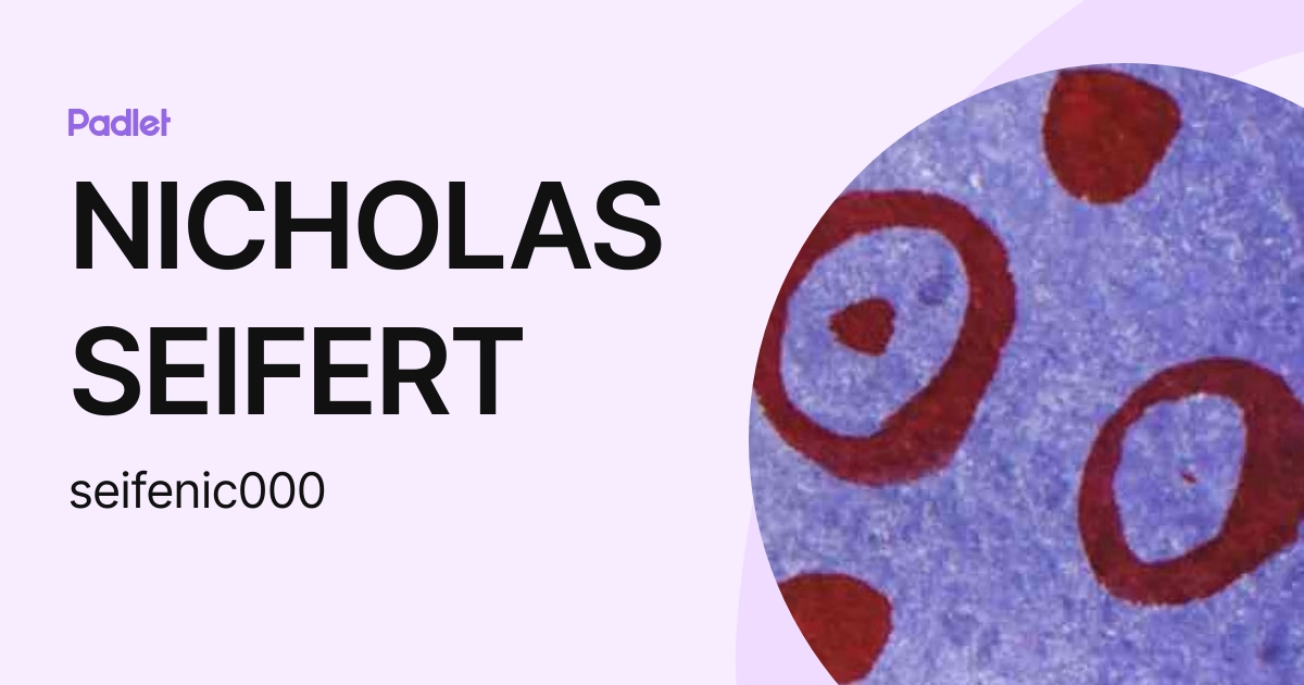 NICHOLAS SEIFERT (seifenic000) profile | Padlet