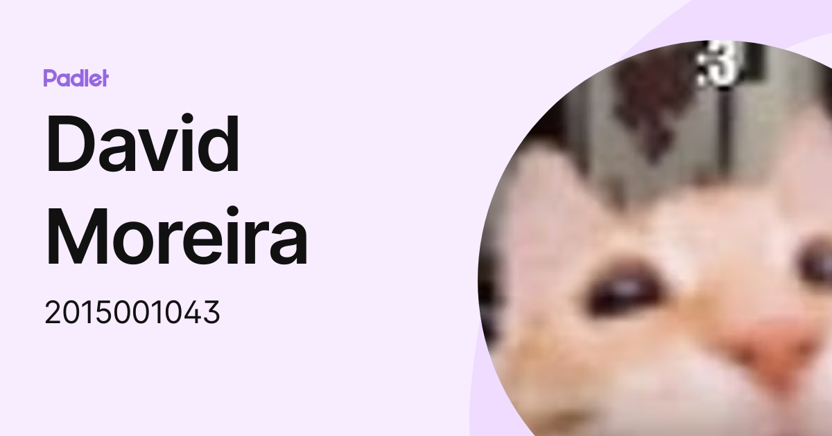 David Moreira (2015001043) profile | Padlet