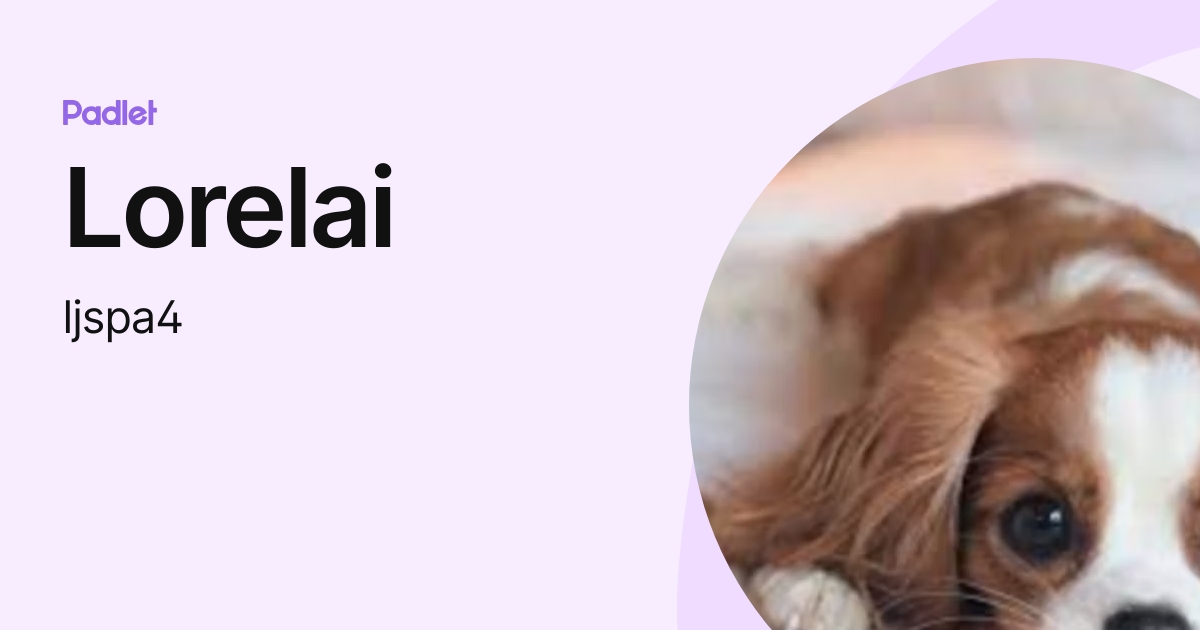 Lorelai (ljspa4) profile | Padlet