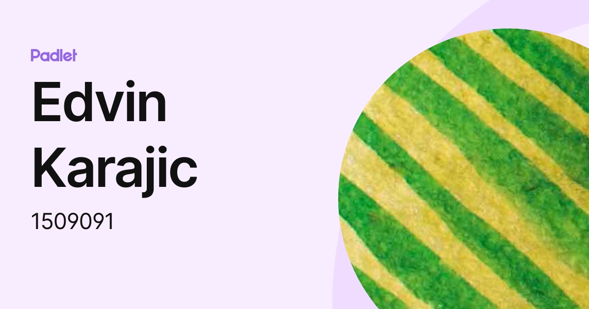 Edvin Karajic (1509091) profile | Padlet