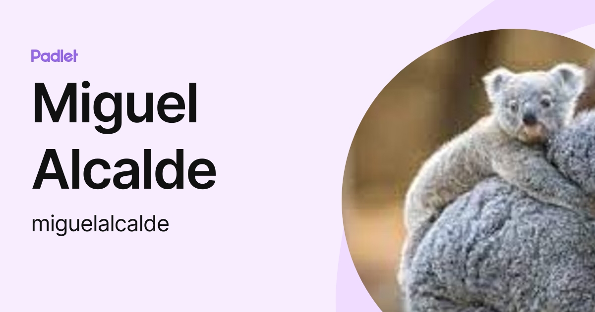 Miguel Alcalde (miguelalcalde) profile | Padlet