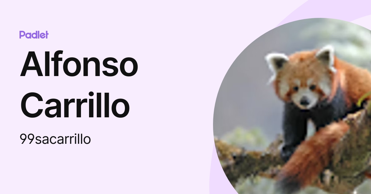 Alfonso Carrillo (99sacarrillo) profile | Padlet
