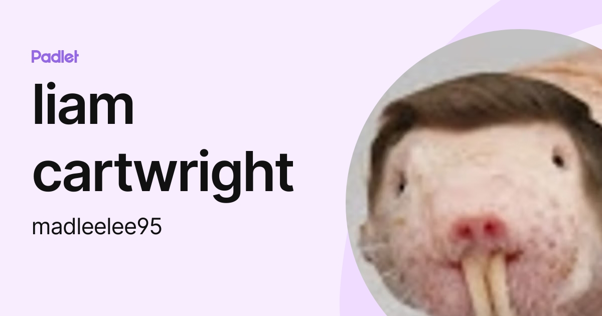 liam cartwright (madleelee95) profile | Padlet
