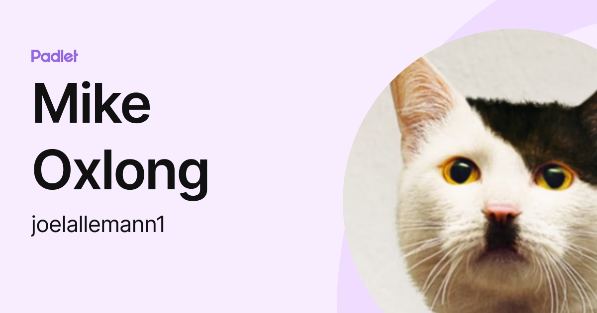 Mike Oxlong (joelallemann1) profile | Padlet