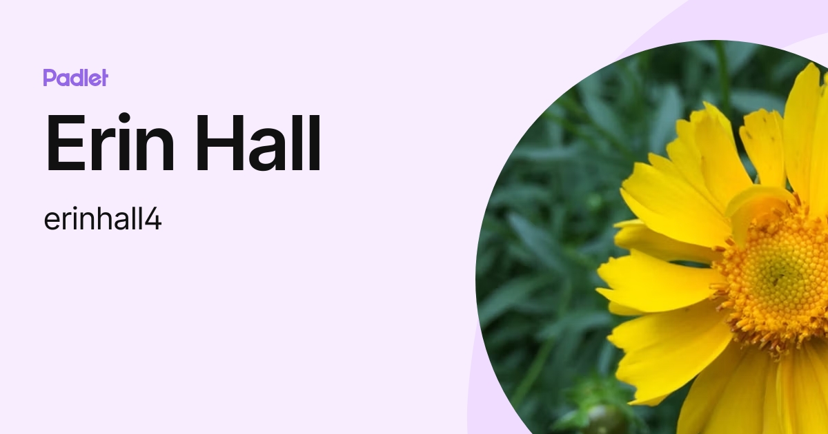 Erin Hall (erinhall4) profile | Padlet