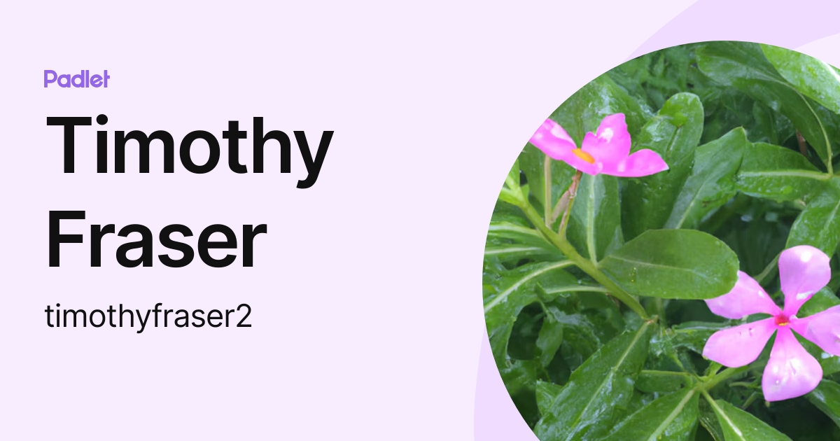 Timothy Fraser (timothyfraser2) profile | Padlet