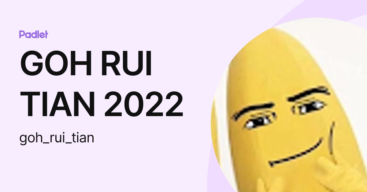 GOH RUI TIAN 2022 (goh_rui_tian) profile | Padlet
