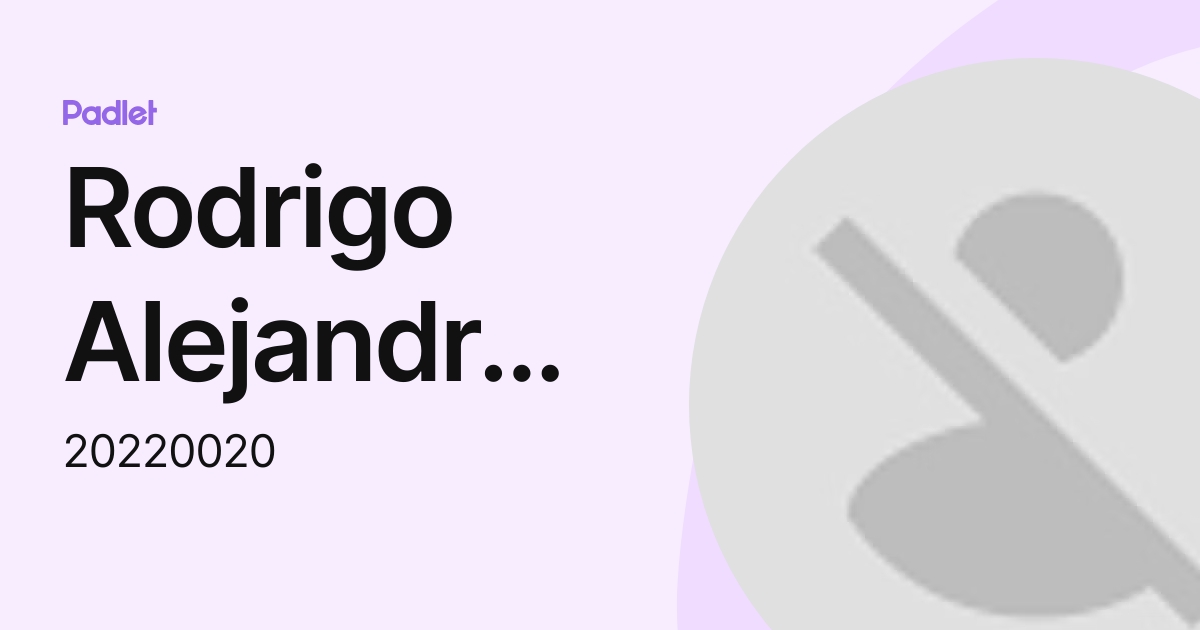 Rodrigo Alejandro Estrada Deshon (20220020) profile | Padlet